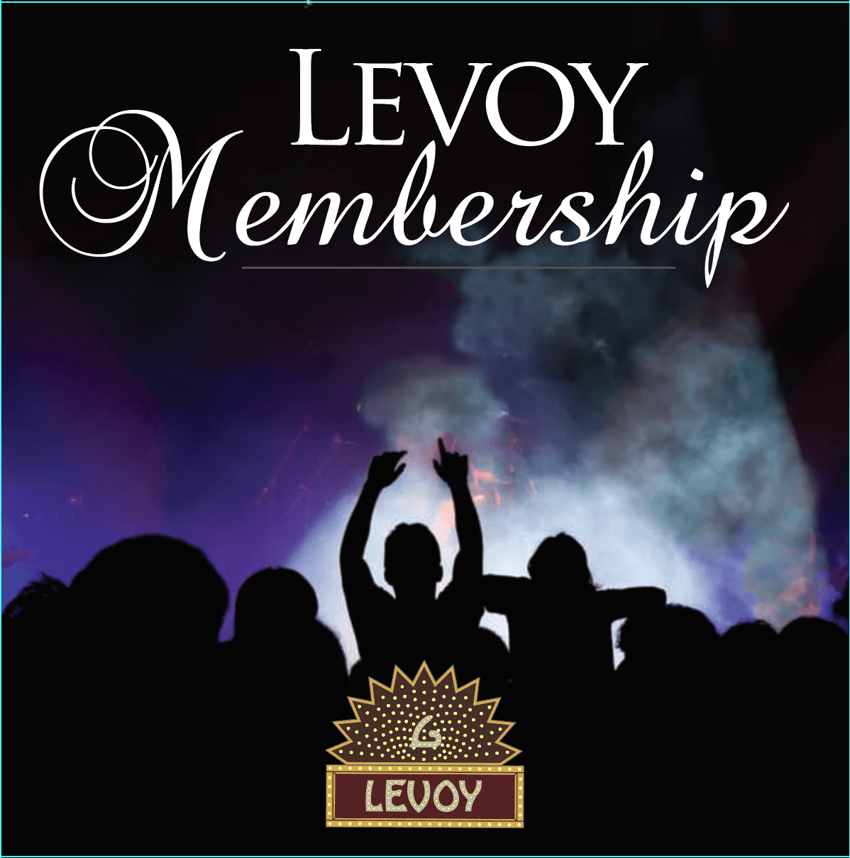 Home - The Levoy Theatre